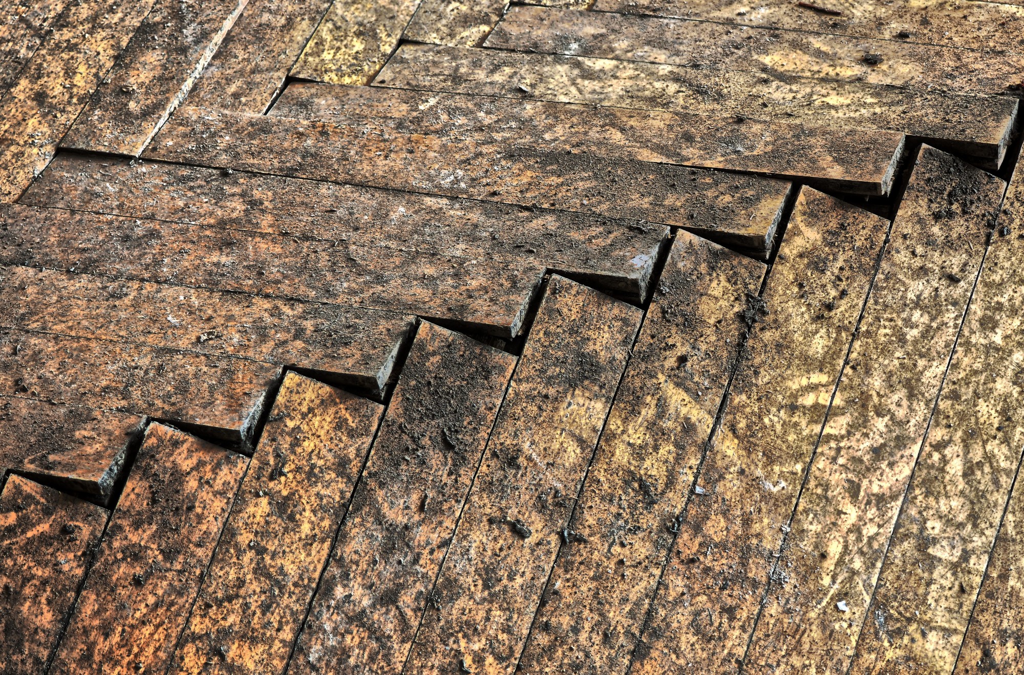 How To Remedy Subfloor Water Damage in Your Home's Basement | Armored ...